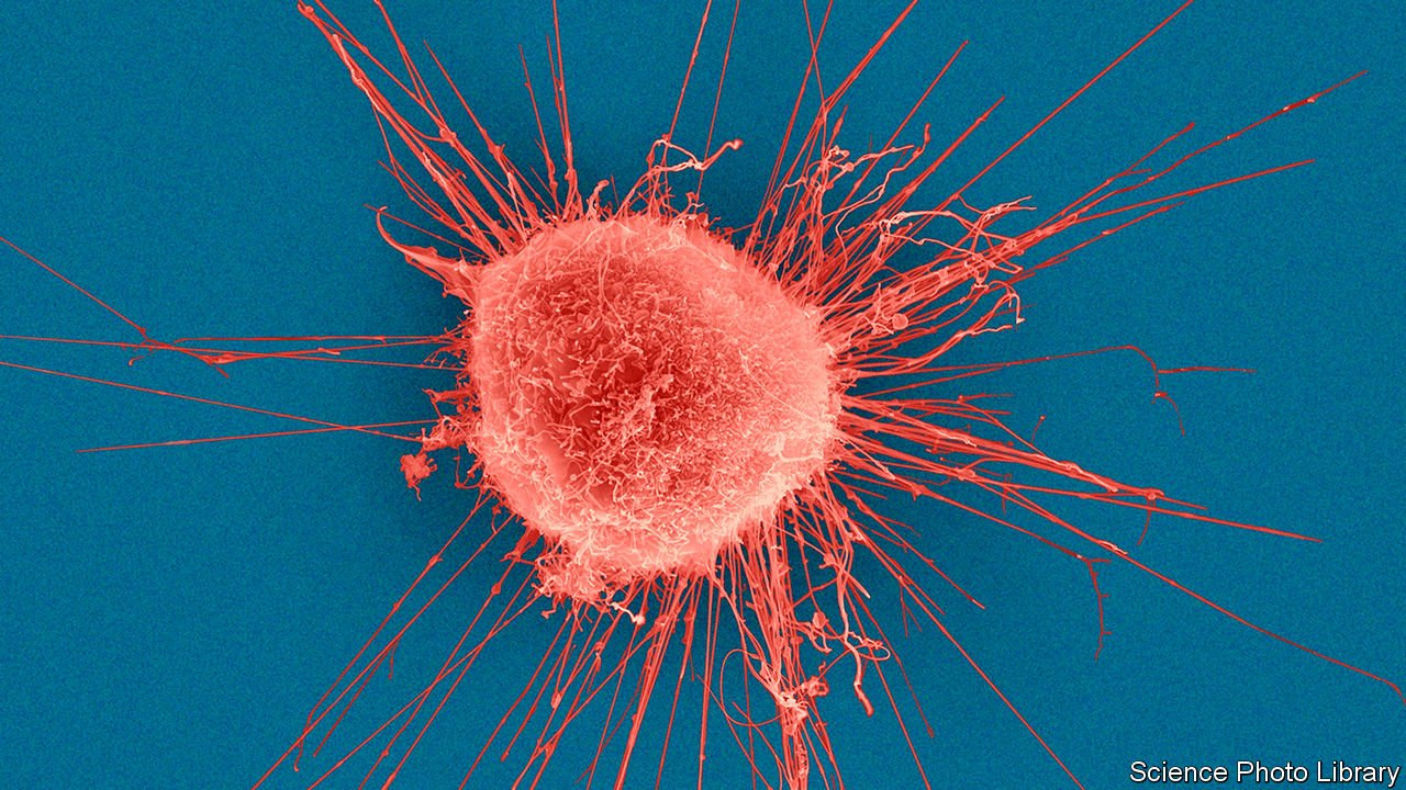 Scientists reveal the most extensive genetic map of cancers ever made ...